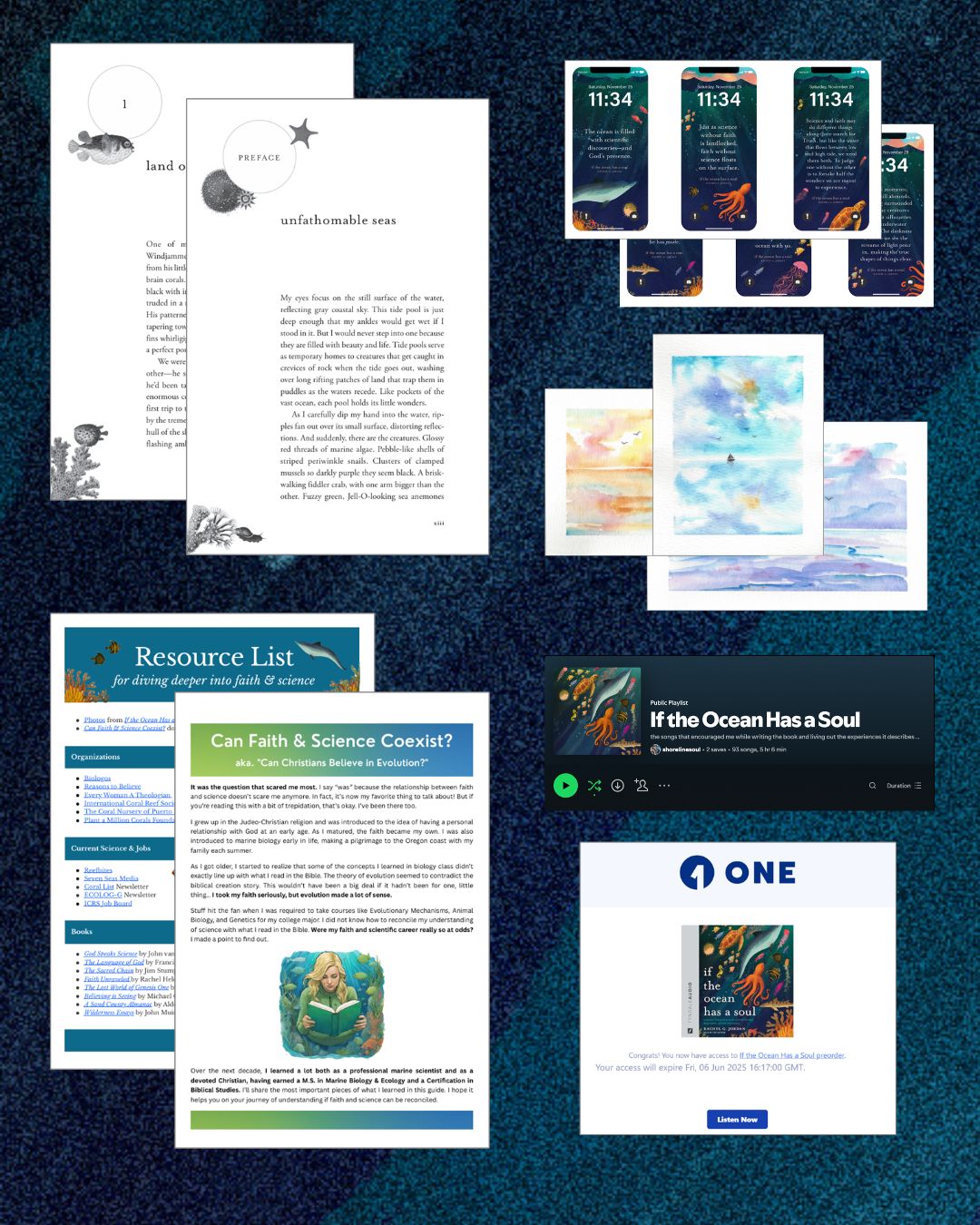 Rachel G. Jordan | Christian Marine Biologist – Storyteller. Marine ...