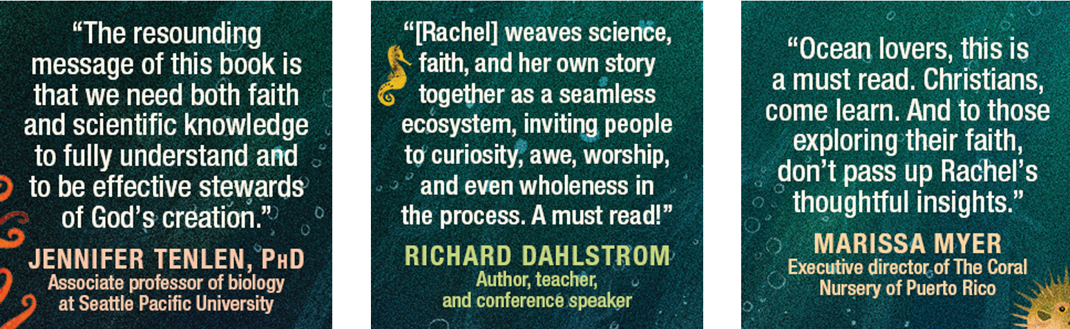 Rachel G. Jordan | Christian Marine Biologist – Storyteller. Marine ...